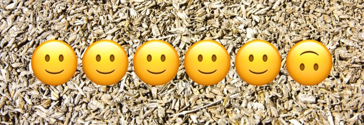 Blocco in lolla di riso contro Ytong, laterizio e calcecanapa ...